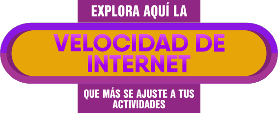 HV Multiplay - Internet