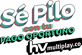 HV Multiplay - Inicio