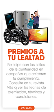 HV Multiplay - Internet